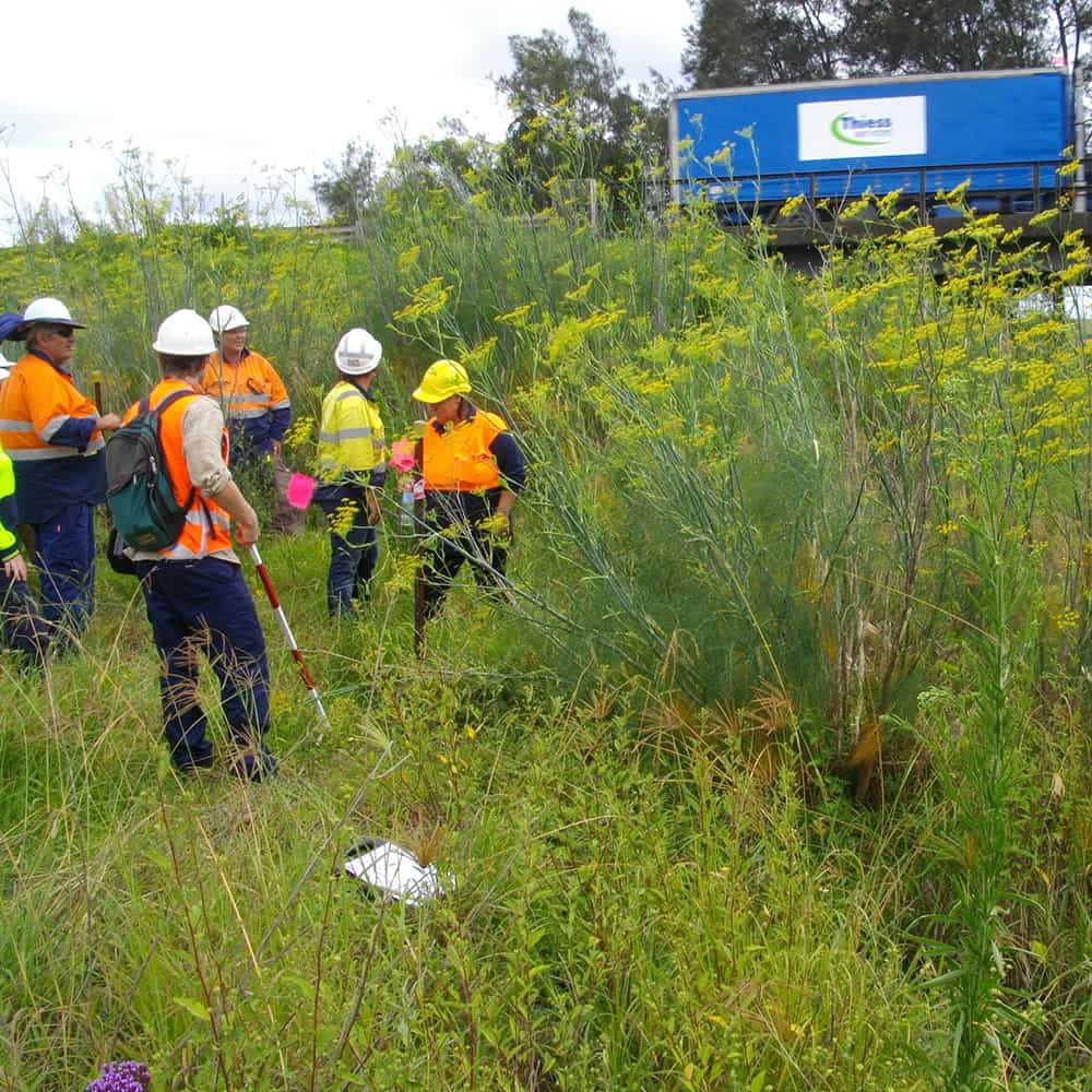 Heritage management for Hunter Expressway - Emergent Group - How we ...